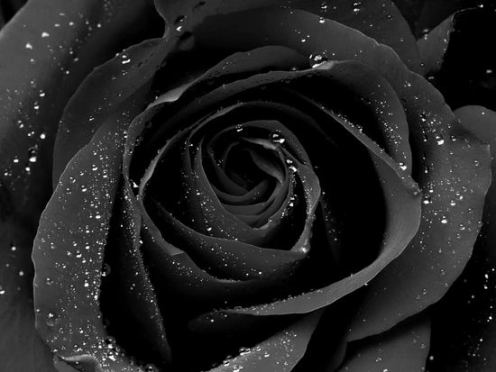 Goth with Glitter Boutique – Goth With Glitter